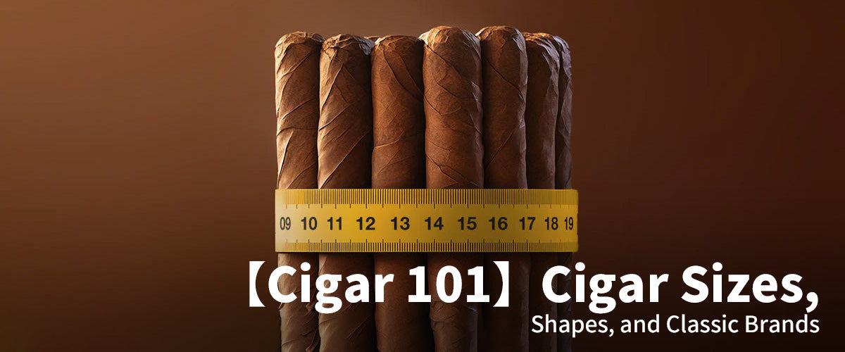 Cigar 101, Cigar Sizes, Shapes, and Classic Brands-NEEDONE