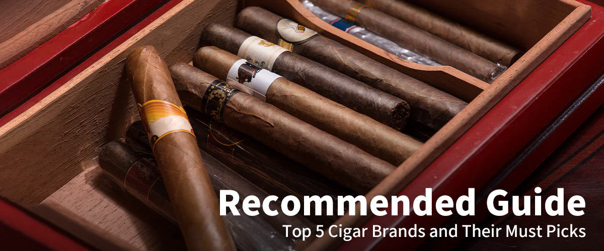 Recommended Guide Top 5 Cigar Brands - NEEDONE